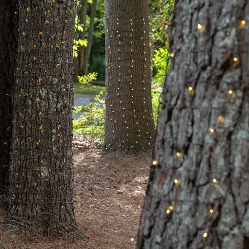 5mm Warm White LED Tree Wrap Lights, Brown Wire