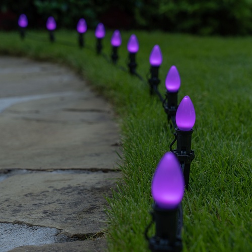 Halloween Lights - C7 Purple Smooth Opticore Halloween LED Pathway Lights