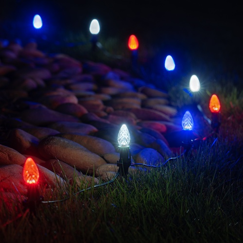 Lights - C7 Red / White / Blue Opticore Christmas LED Pathway Lights
