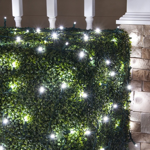 5mm Cool White LED Net Lights, Green Wire
