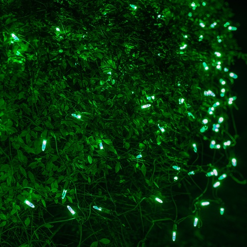 M5 Green LED Net Lights, Green Wire