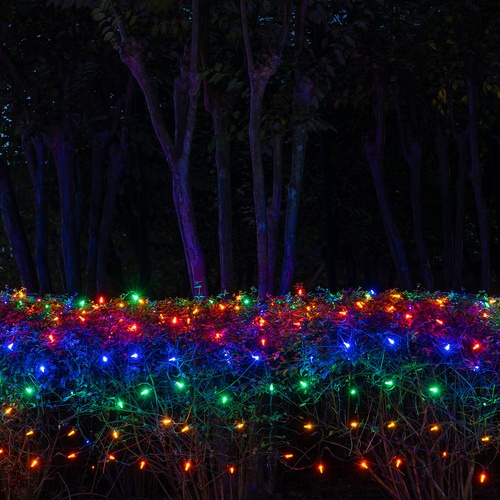 M5 Multicolor LED Net Lights, Green Wire