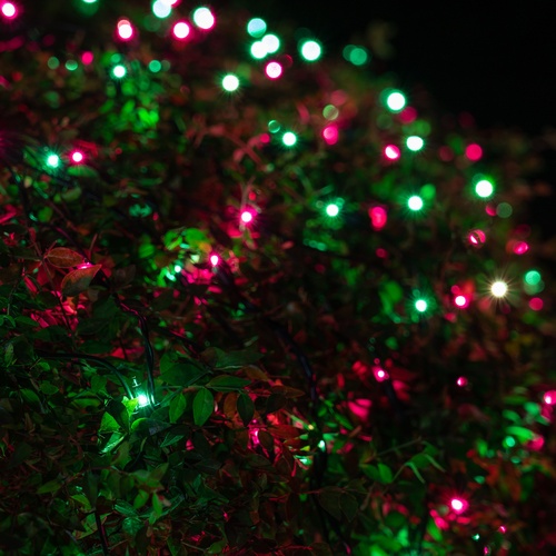 Purple, Green Halloween Net Lights, Black Wire