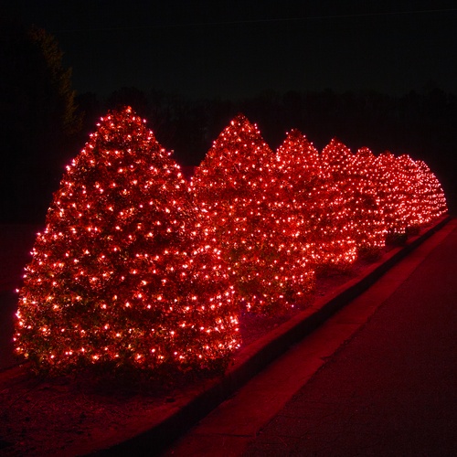 Christmas Lights - 50 PureLock TM Red Mini Christmas Lights, 6" Spacing ...