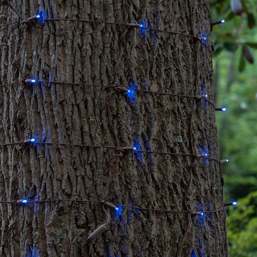 5mm Blue LED StretchNet Pro Tree Wrap Lights, Brown Wire