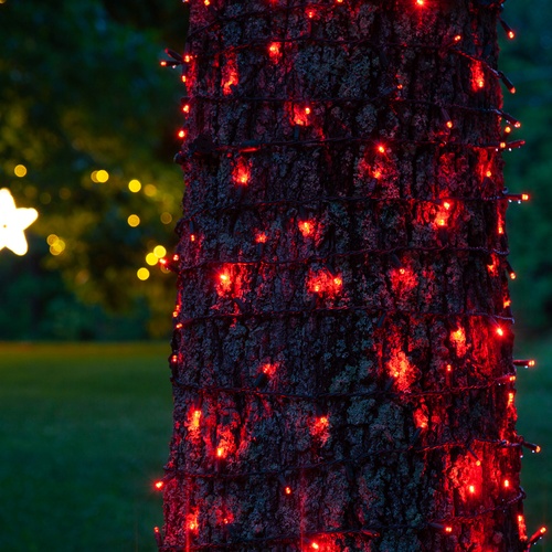 5mm Red SoftTwinkle LED Christmas Lights