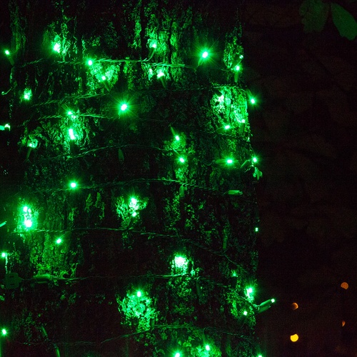 5mm Green SoftTwinkle LED Christmas Lights