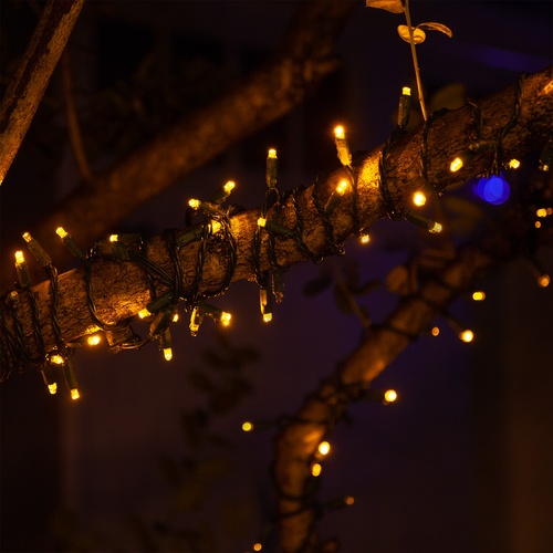 5mm Gold SoftTwinkle LED Christmas Lights