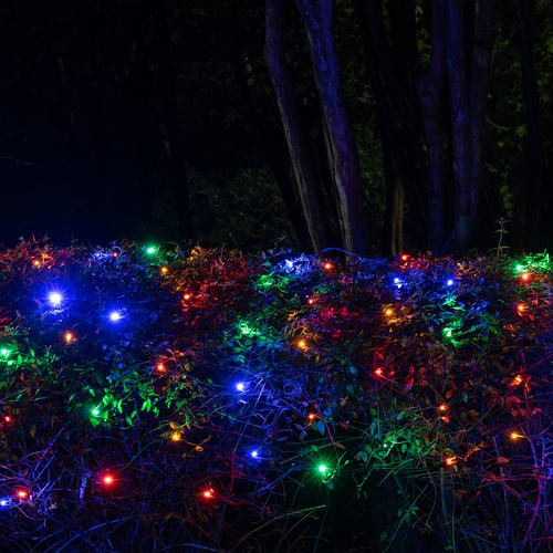 5mm Multicolor SoftTwinkle LED Net Lights, Green Wire