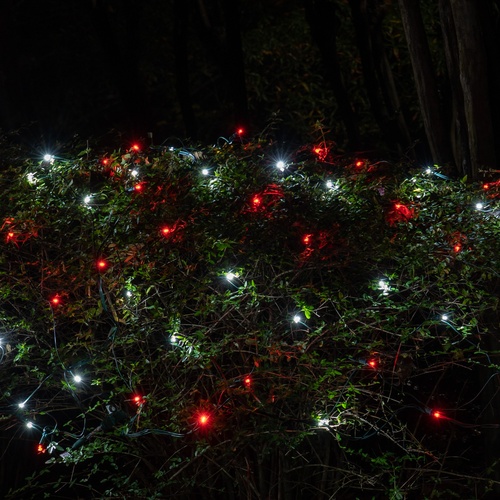5mm Red, Cool White SoftTwinkle LED Net Lights, Green Wire