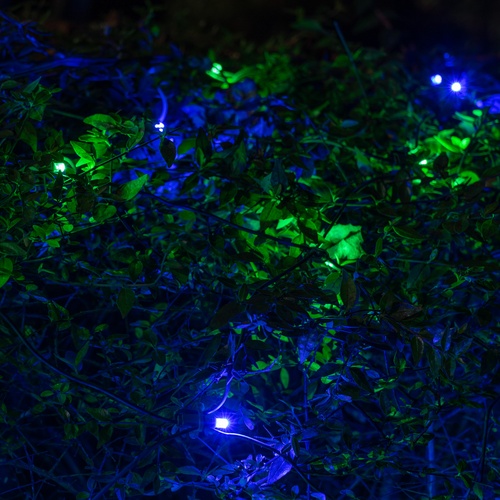 5mm Blue, Green SoftTwinkle LED Net Lights, Green Wire