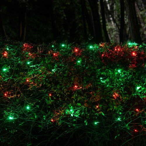 5mm Red, Green SoftTwinkle LED Net Lights, Green Wire